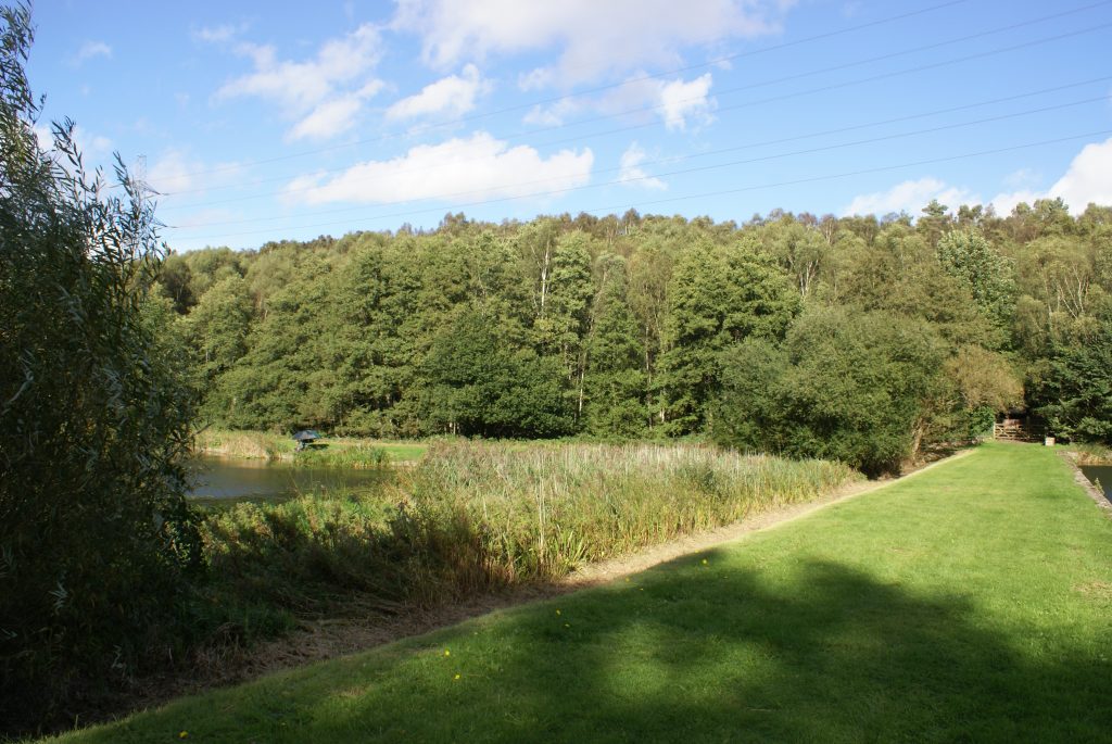 Climate Change | Ravenfield Ponds